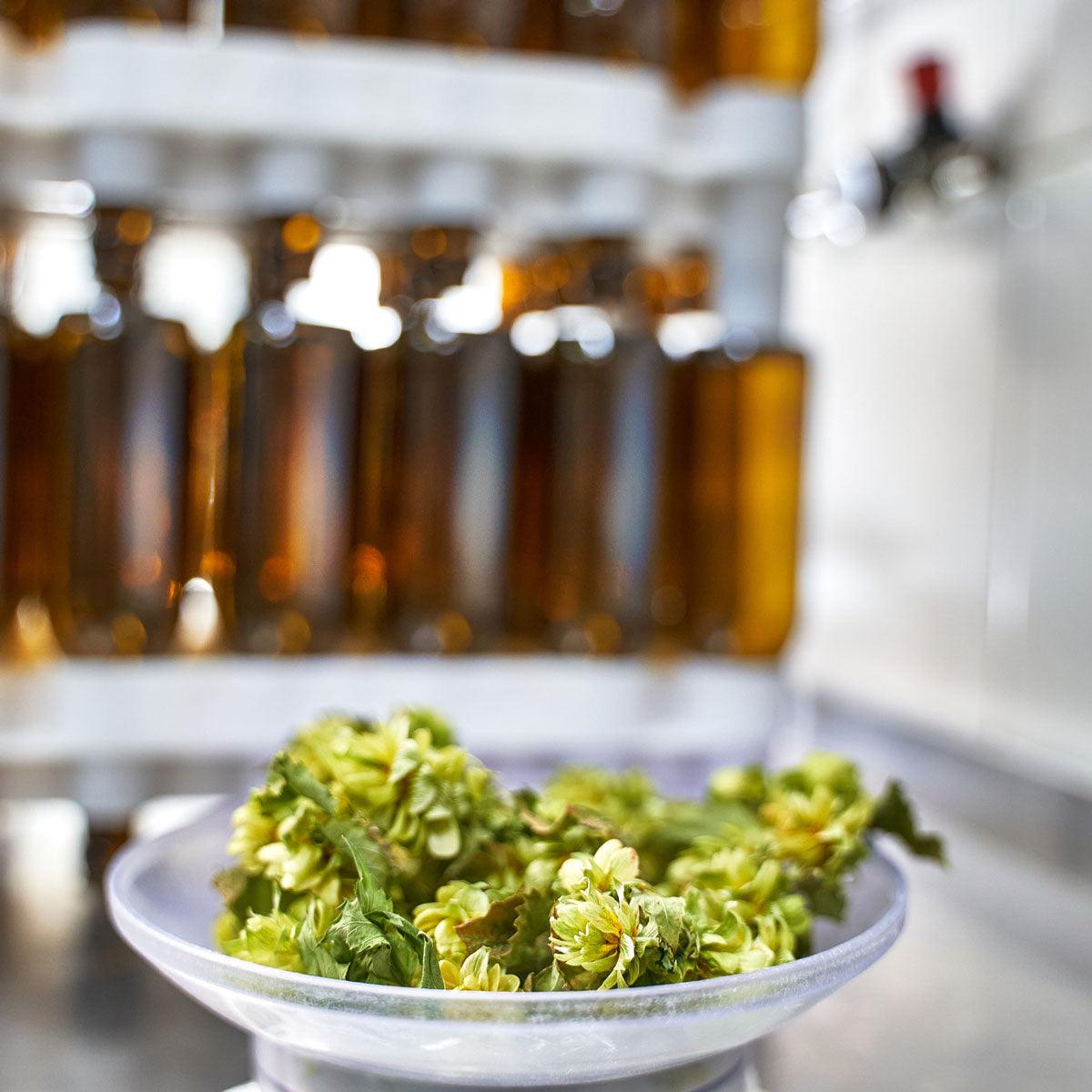 Hemp & Hops perfume (Hemp and Hops) - candle perfume – shoplumanari.ro